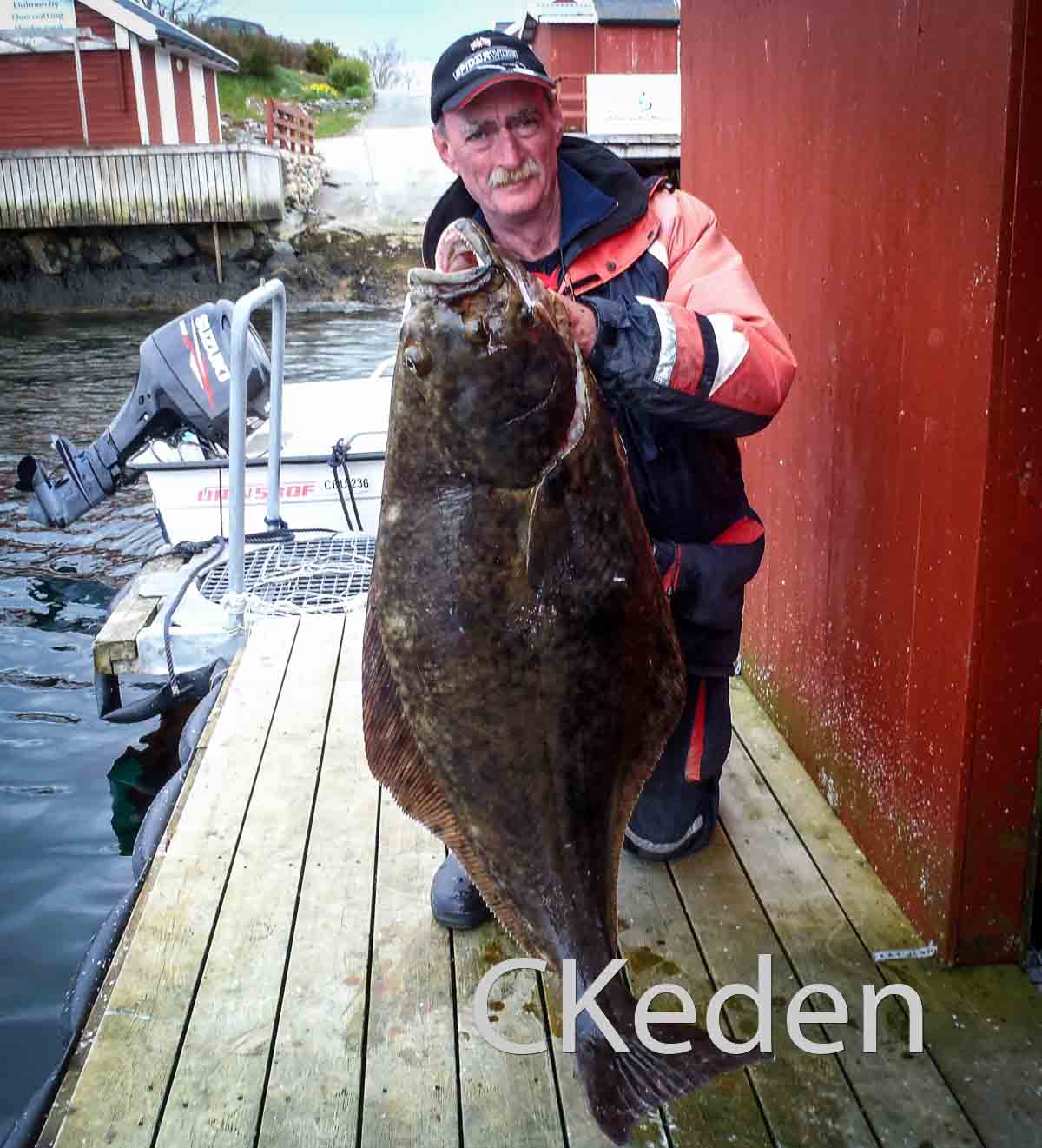 Halibut - Platýs obecný | Vysněná ryba s CK Eden