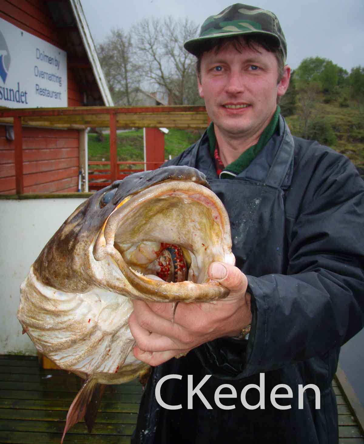 Treska obecná - 5 způsobů, jak ji ulovit | CK Eden